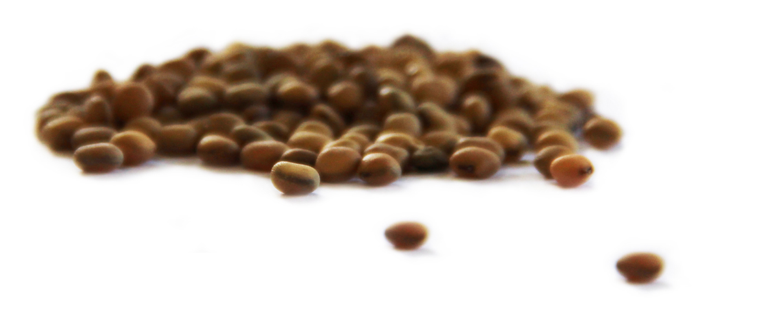 Customised Stabiliser & Emulsifier Blends